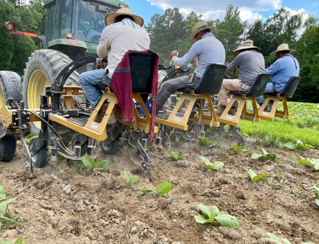 Cultivating Equipment | Weeding Machines & Tractors | Heber Equipment