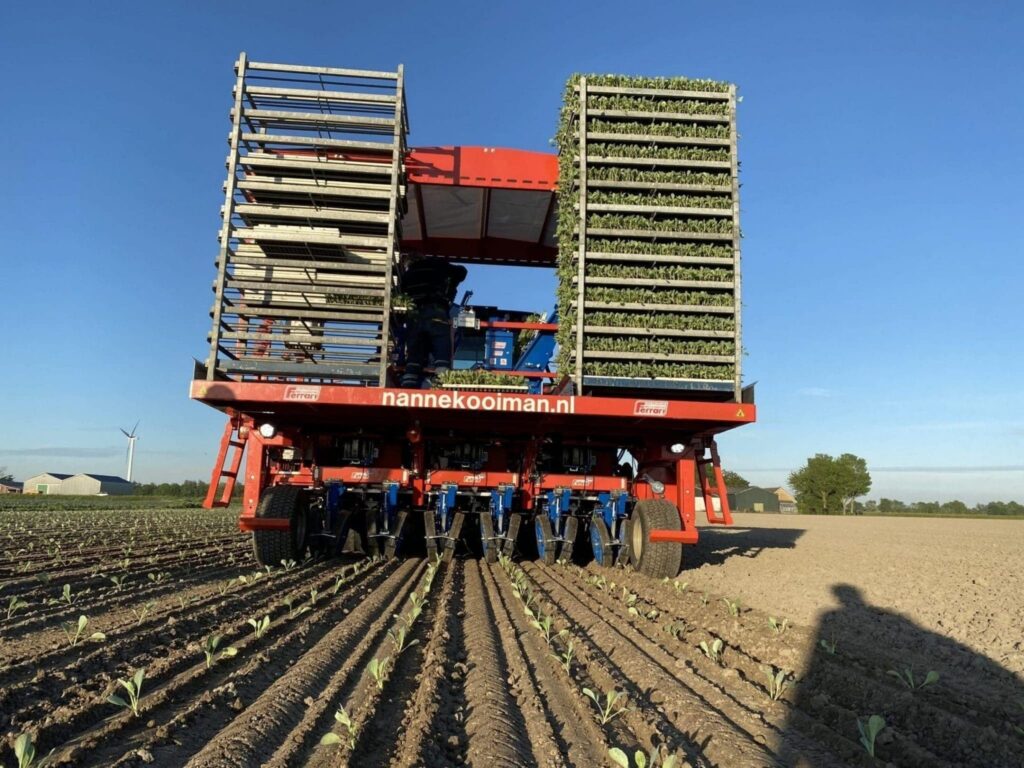 Hydraulic Weeding Machines | Minimal Soil Damage | Heber Equipment